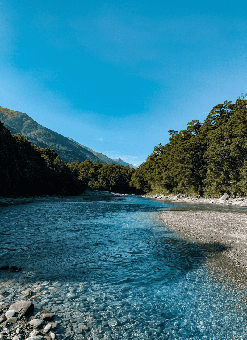 Blue Pools Nieuw-Zeeland: het helderste water dat jij ooit gaat zien!