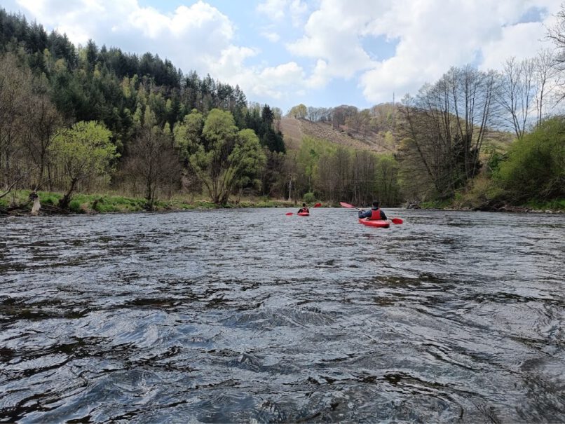 Wat te doen in de Ardennen? 13x leukste activiteiten!