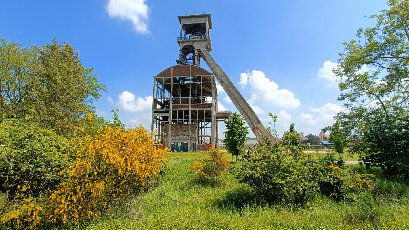 Wandelen Hoge Kempen: één van de mooiste gebieden van België